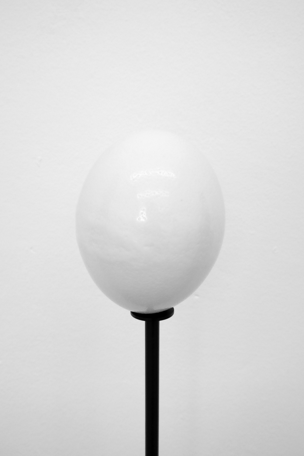 FOU · SARAH ORTMEYER