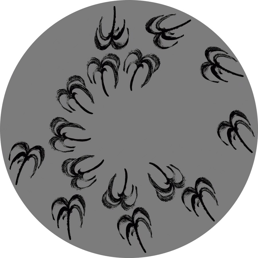 O (DIABOLUS-PALMA-OVUM-LUNA-COR) · SARAH ORTMEYER